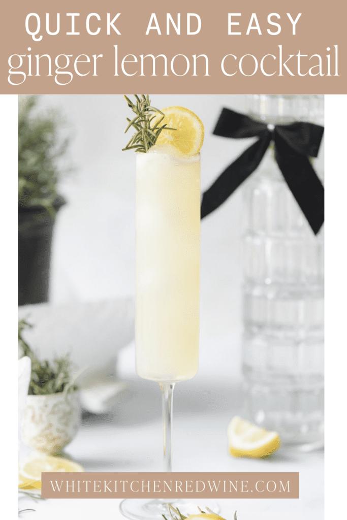 Lemon Ginger Cocktail - Perfect For Parties!