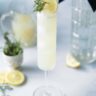 Lemon Ginger Cocktail - Perfect For Parties!